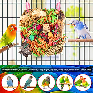 KATUMO Bird Toys, Parakeet Toys Conure Grass Mat Foraging Toys Parrot Shredding Hanging Toys for Cockatiel Lovebird Parakeet Budgie Small-Medium Birds