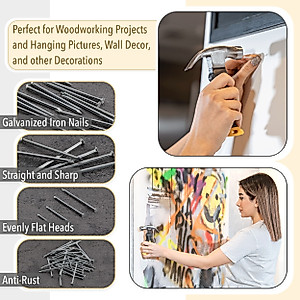 Mr. Pen- Nail Assortment Kit and 8oz Small Hammer, 600 Pcs Small Nails, Wall Nails for Hanging, Hammer and Nails Set, Small Hammer for Picture Hanging, Picture Hanging Kit, Picture Hanging Nails