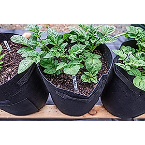 Gardzen 6 Pack BPA-Free 10 Gallon Vegetable Grow Bags with Access Flap and Handles, Suitable for Planting Potato, Taro, Beets, Carrots, Onions, Peanut