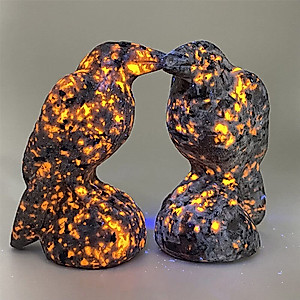 1pc Natural Yooperlite Crow Skull Quartz Crystal Skull Carved Figurines Gem 2.4"