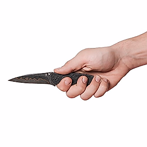Kershaw Leek BlackWash Composite Blade Folding Pocketknife, 3" D2 Steel and 14C28N Stainless Steel Blade, Assisted Opening Folding EDC