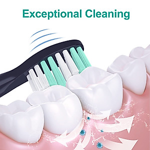 Relax Artist Toothbrush Replacement Heads Compatible with Fairywill Toothbrush Heads Handle Fairywill FW-507/508/551/515/917/959/2011 FW-D1/D3/D7/D8 for Fairywill Electric Toothbrush 8 Count