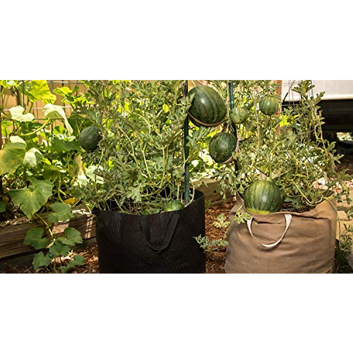 Smart Pots 20-Gallon Smart Pot Soft-Sided Container, Tan with Strap handles