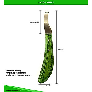 PRECISION CANADA Super Sharp Loop Blade Hoof Knife for Right Handed of Japanese Stainless Steel with Smooth Wooden Handle