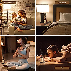 Reed Diffuser, Fragrance Diffuser for Home Scented, Reed Diffuser Set with 6 Reed Diffuser Sticks, Home Fragrance Products Eucalyptus&Sage 4.1 oz