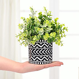 CEWOR Faux Plants 4 Pack Artificial Potted Plants Fake Snake Greenery Eucalyptus Leaves Lover's Tears Succulent and Flocked Sage Plant for Indoor Home Office Farmhouse Kitchen Bathroom Desk Decor