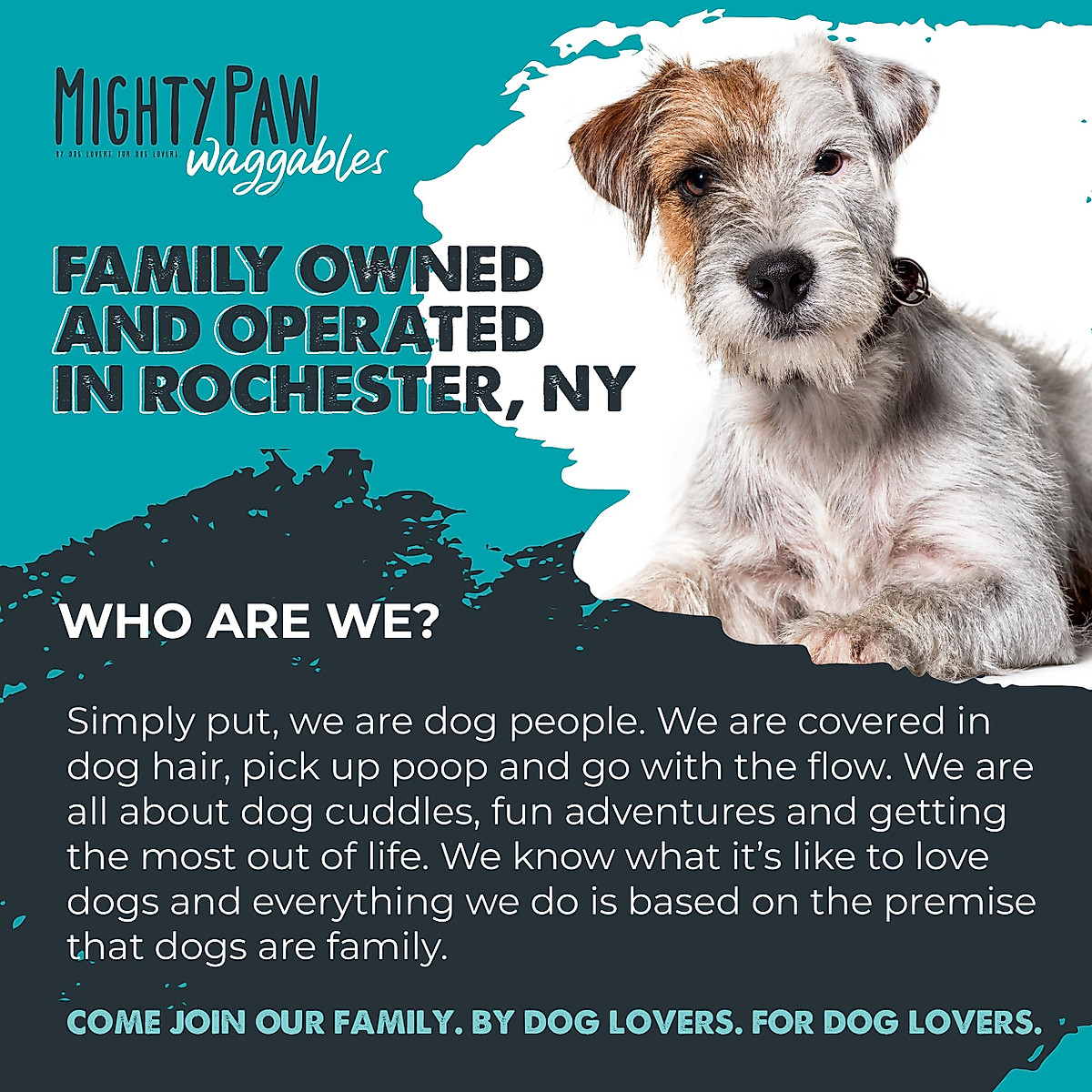 Mighty Paw Waggables Probiotic Chews for Dogs (Made in USA) | Dog Probiotics & Digestive Enzymes. Bacon Flavor Probiotics for Dogs Digestive Health. Prebiotics, Probiotics for Dogs Gut Health (120 Ct)