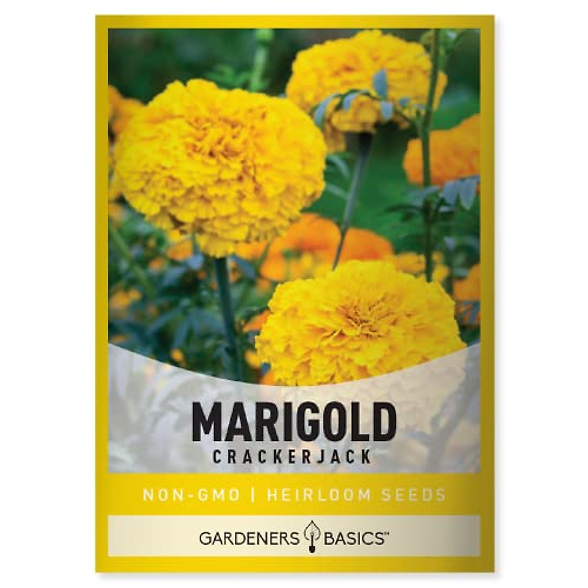 Marigold Seeds for Planting Outdoors (Crackerjack Variety) Annual Open-Pollinated, Heirloom, Non-GMO Flower Variety- 800mg Seeds Great for Summer Cut Flower Gardens by Gardeners Basics