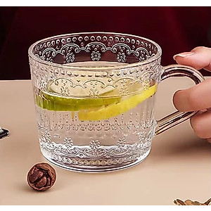 DONYU 2 Pack 14.5 oz Glass Coffee Mug with Lid,Premium Drinking Glasses Tumblers, Vintage Glassware Set for coffee, Juice, Beverages (Clear)