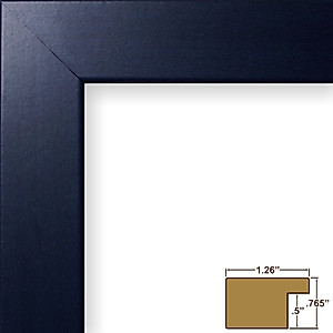 Craig Frames 26025 16 by 20-Inch Picture Frame, Smooth Wrap Finish, 1.26-Inch Wide, Blue