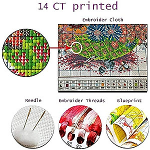 Joy Sunday Cross Stitch Kits Stamped Full Range of Embroidery Starter Kits for Beginners DIY 14CT 2 Strands - Two Birds 3(Printed) 14.6×18.1 inch