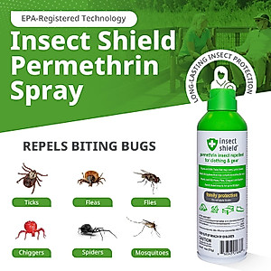 Insect Shield Premium Permethrin Spray - Tick, Flea, Fly, Mosquito, Chigger, Spider & Bed Bug Repellent for Clothing, Gear, Furniture, & Tents, Last up to 60 Days, Clear, 6 Oz Aerosol