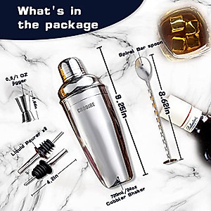 Martini Shaker Cocktail Shaker Set Drink Shaker Kit 24 Ounce Bar Shaker with Built in Strainer, Measuring Jigger, Mixing Spoon, 2 Liquor pourers, Stainless Steel Bar Tools