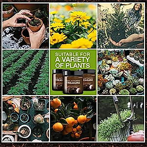 YMJR 400g Soil Activated Treasure - You Will be Amazed! Organic Soil Conditioner,Soil Activator,Ideal as Potting Soil or Seedling Compost