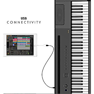 Artesia PA-88H 88-Key Weighted Hammer Action Digital Piano with 16 Dynamic Voices + Power Supply + Sustain Pedal (White)