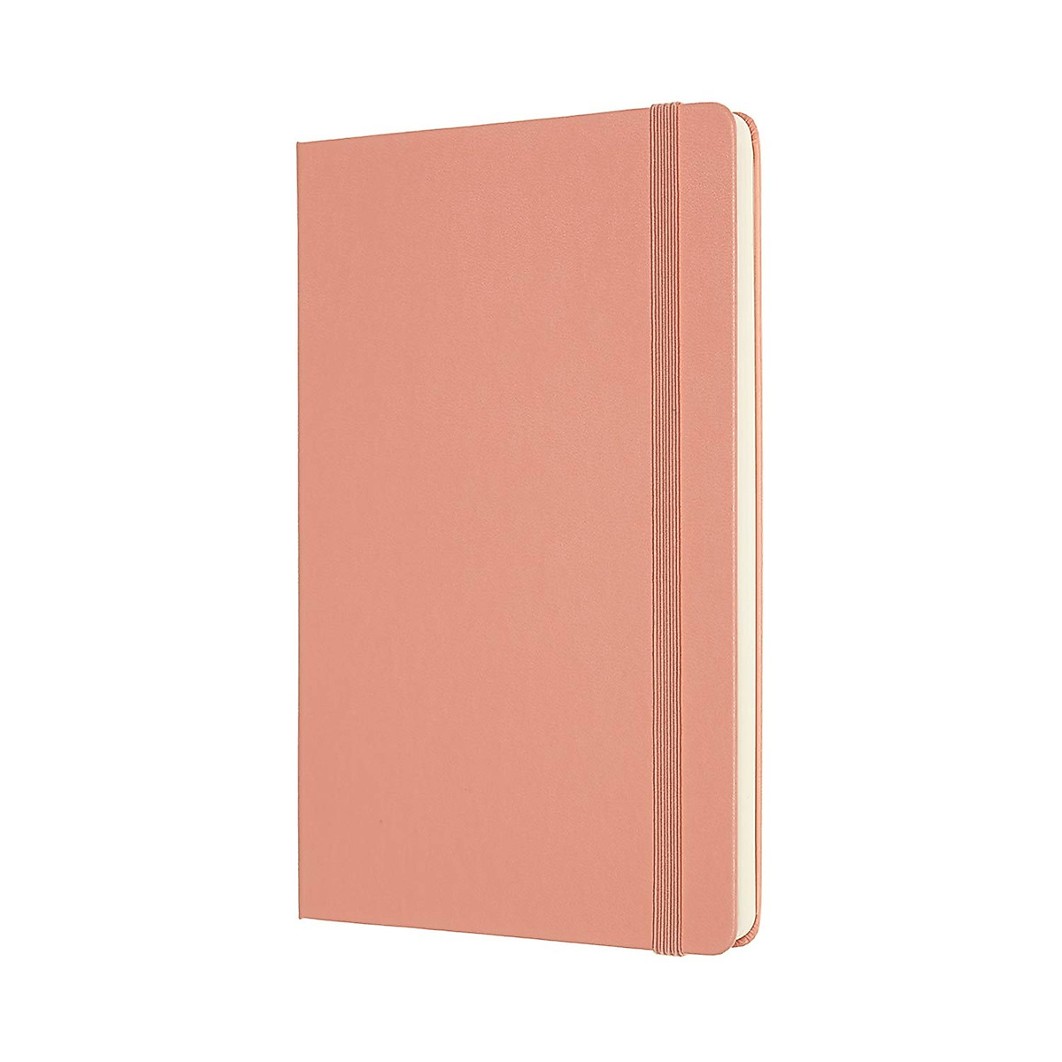 Moleskine Art Logbook, Hard Cover, Large (5" x 8.25"), Dotted, Coral Pink, 160 Pages