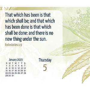 2023 Bible Verses Day-at-a-Time Box Calendar