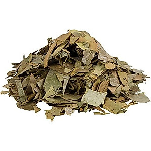 Graviola Tea 25 Teabags of Natural Soursop Leaves or Hojas de Guanabana from Peru – Herbal Tea te guyabano