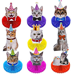9 Pcs Cat Themed Honeycomb Centerpieces Cats Party Decorations Cat Happy Birthday Party Supplies Cat Party Cake for Kids Baby Shower Birthday Supplies