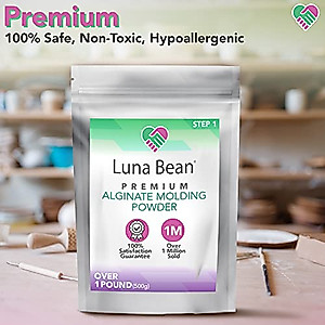 Alginate Molding Powder Refill for Hand Casting Kit - Non-Toxic Casting Plaster Material - 1lb (454g) - Perfect for Anniversaries, Birthdays, & Family Activities - Create-a-Mold by Luna Bean