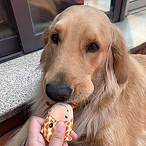 Jalousie 12 Pack Plush Animal Dog Toy Dog Squeaky Toys Cute Pet Plush Toys Stuffed Puppy Chew Toys for Small Medium Dog Puppy Pets - Bulk Dog Toys (12 Pack Animal)