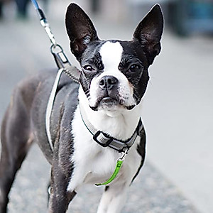 Cobee Dog Collar Clips, 2 Pcs Reflective Nylon Puppy Collar, Backup Collar, Safety Adjustable Pet Dog Collar Harness Connector, Double Ended Backup Clasp Clip for Dog Puppies(Green, Pink)