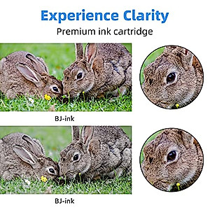 BJ-INK Ink Cartridges Compatible Replacement for Brother LC-3013-XL LC3011 XL Work for Brother MFC-J491DW, MFC-J895DW, MFC-J497DW, MFC-J690DW MFC-J487DW Printers, 10 Pack