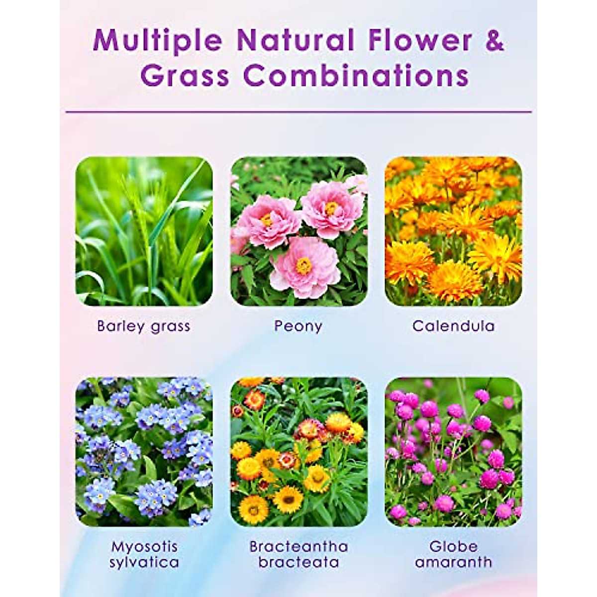 Bissap Natural Flower & Herb Hamster Bedding 300g/10.5oz, Small Animal Soft Flower Habitat Decor for Syrian Dwarf Hamster Gerbil Chinchilla Mice Degu and Other Small Pet Flower Bedding Odor Control