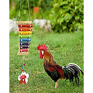 Woiworco 4 Packs Chicken Toys for Hens in Coop, Chicken Xylophone Toy with Mirror, Vegetable Hanging Feeder and Chicken Swing Toys Chicken Supplies Chicken Coop Accessories for Your Chicken Gift