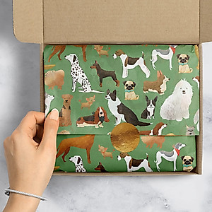 Jillson & Roberts 20" x 30" Printed Gift Tissue for Birthdays, Wine Bags, Weddings, Best in The Show Green, 24 Folded Sheets