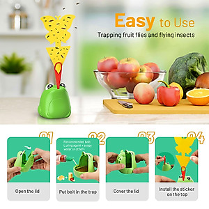 Fruit Fly Traps for Indoors and Outdoors:UWANTME Fruit Fly Killer with 12 Fruit Fly Sticky Traps, Easy to Use and Safe Food-Based Gnat Trap Reusable,2 Pack