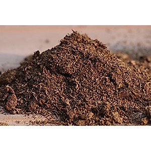 Sphagnum Peat Moss for Gardening (1 Quart)