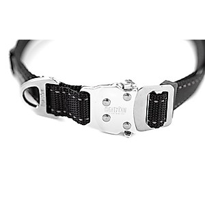 Mighty Paw Metal Buckle Dog Collar, All Metal Hardware, Lightweight Collar, Reflective Stitching, Strong, Durable (Medium, Black)
