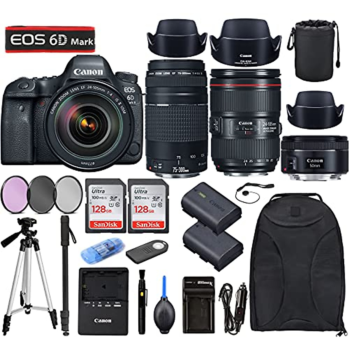 6D Mark II DSLR Camera with EF24-105mm f/4L II USM + EF 50mm f/1.8 STM + EF 75-300mm f/4-5.6 III Lenses Bundle, Accessories (256Gb Memory Card, Extra Battery, Travel Charger and More)