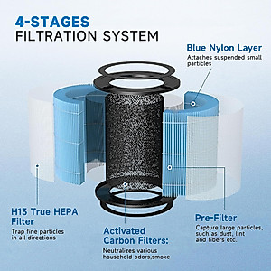 Reinlichkeit AP0601 Replacement Filters Compatible with Airtok Air Puri-fier, 4-in-1 H13 True HEPA Filters, High-Efficiency Activated Carbon Filter, AP0601-RF 4 Pack