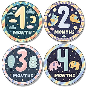 Friendly Animals Baby Monthly Stickers. 12 Large, Adorable Style Animal and Nature Designs for The First 12 Months. Ideal as a Gift for Baby Shower