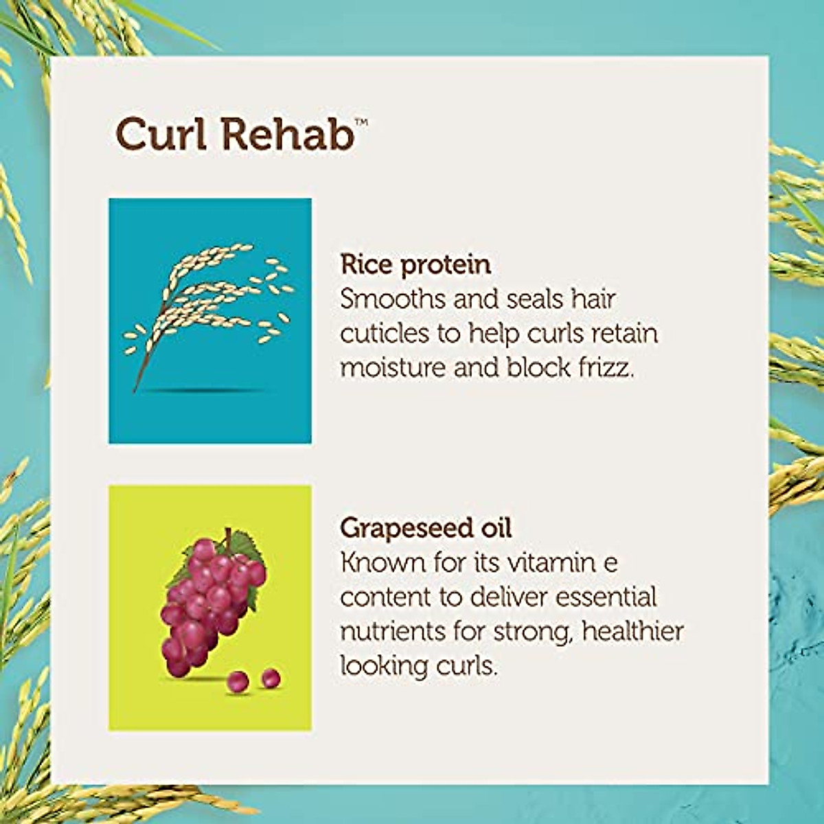 Curl Rehab Length Retention/Strength Treatment 2 in 1 Shampoo Conditioner (3 Pack), Enriched with Rice Water & Grapeseed, For Hair Growth, Protection & Frizz Control, 16 Oz