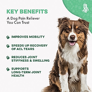Advanced Hip and Joint Supplement for Dogs - Natural Extra Strength Dog Arthritis Pain Relief & Anti Inflammatory for Dogs Helps Limping, Mobility Issues, Hip Dysplasia, ACL Tears - 180 Tiny Pills