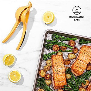 OXO Good Grips Citrus Squeezer