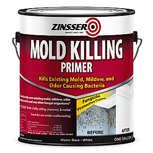 Zinsser 276049 Mold Killing Primer, Gallon