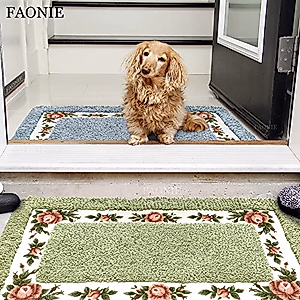 FAONIE Pretty Floral Rural Style Romantic Rose Flower Rug Shaggy Area Rugs Soft Non-Slip Doormat Floor Mat Bath Mat Bathroom Shower Rug Bedroom Living Room Carpet (Light Green, M)