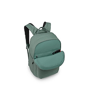 Osprey Arcane XL Day Everyday Backpack, Pine Leaf Green, One Size