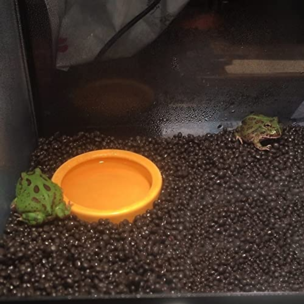 2 Pack Reptile Food Bowls Mini Ceramic Water Feeder Bowl Anti-Escape Mini Reptile Feeder for Lizard Anoles Bearded Dragons Crested Gecko Hermit Crabs