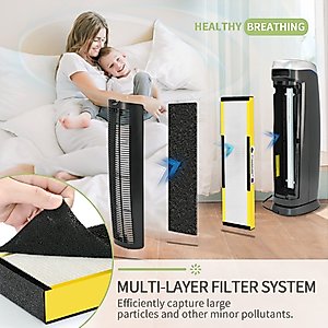 Nisreen Filter C FLT5000 Filter Compatible with Germ-Guardian True Hepa Filter Air Puri-fier AC5250PT AC5000E AC5300B AC5350W, 2 HEPA and 6 Pre-Filter