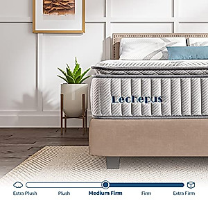 Lechepussleep Queen Mattresses,12 Inch Hybrid Mattress,Cooling Gel Memory Foam with Pocket Spring Mattress in Box for Pressure Relief and Balance Support, Medium Feel Mattress,CertiPUR-US Certified