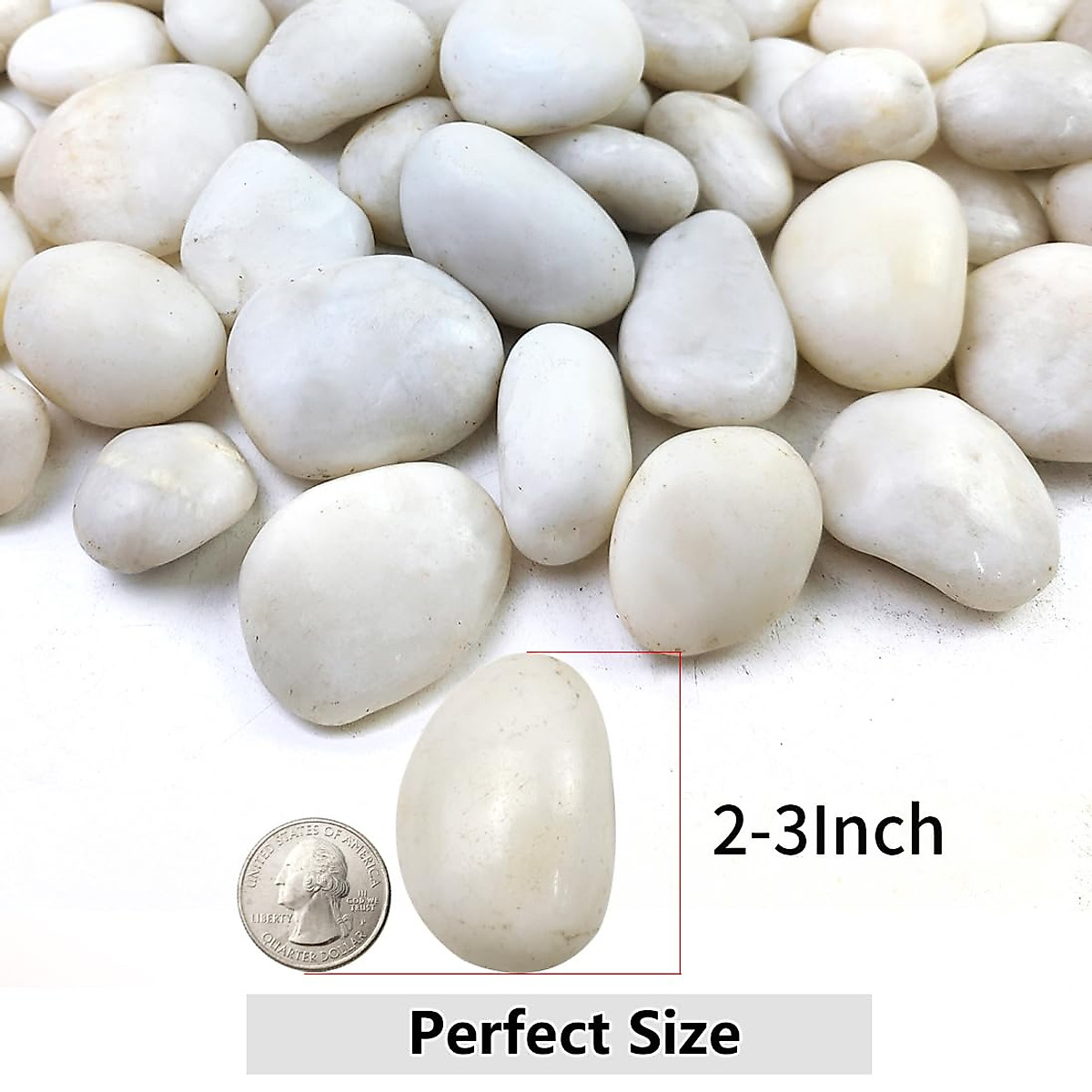 YISZM 20lbs White River Rocks for Landscaping, 2-3 Inch Natural Pebbles for Indoor Plants, High Polished Decorative Stones Vase Filler Fish Tank Aquariums Garden Outdoor and Indoor DIY