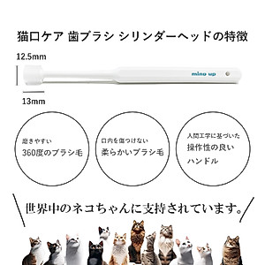 MINDUP Cat Mouth Care Toothbrush Kit B (Cylinder Head)