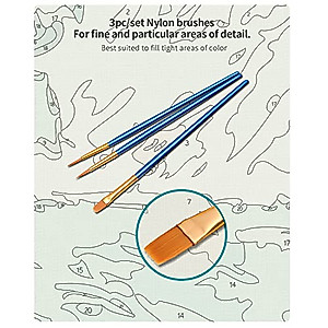 RUOPOTY Paint by Number for Adults Number Canvas Painting DIY Oil Painting Gift Kit Home Wall Living Room Bedroom Decoration (Orange Beach) 99921