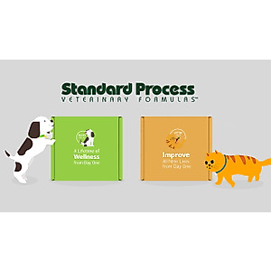 Standard Process Kitten Kit - Overall Health Kit for Feline Whole-Body Support - Feline Immune System Support Supplements - Wellness Supplements to Support Kitten Health & Growth - Includes Catnip Toy