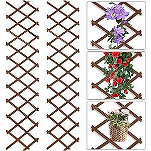 Expandable Wooden Lattice Frame - Hanging Plant Trellis Frame for Wall Climbing Plants Vines - Wall Art Freedom Lattice for Room Decor - Small Wood Fence Panel for Space Separate
